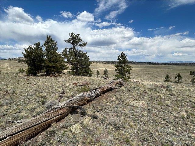 591 Singletree Ct Lot 805, Hartsel, CO 80449