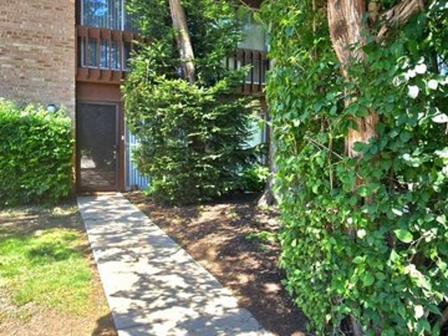 5921 Meadow Dr Unit 156F, Lisle, IL 60532