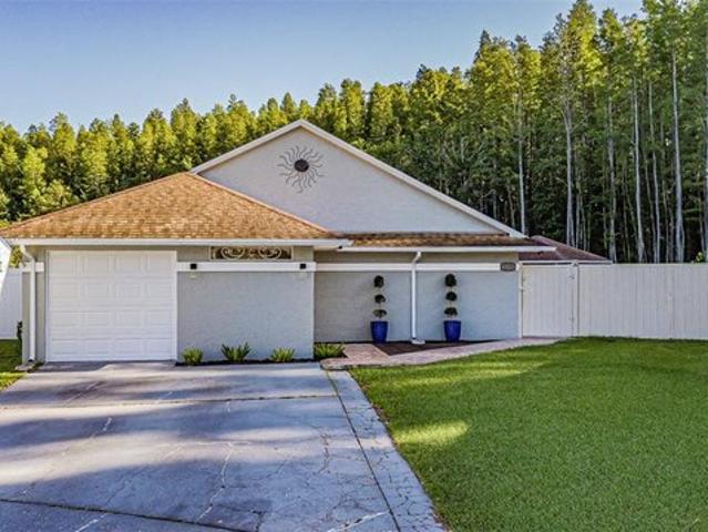 5923 Bitterwood Ct, Tampa, FL 33625