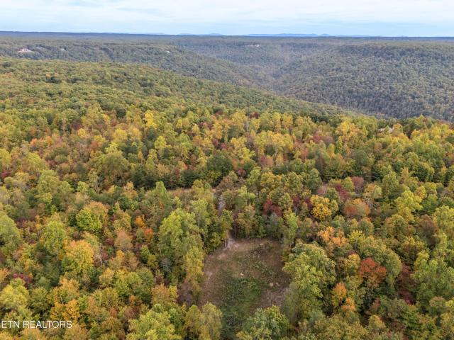 592 Cumberland Cove Rd, Monterey, TN 38574 | MLS #1319 | Compass