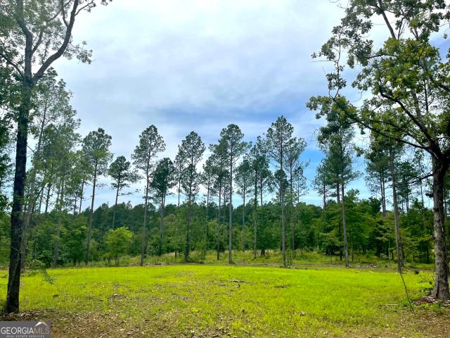 592 Arnold Caldwell Road