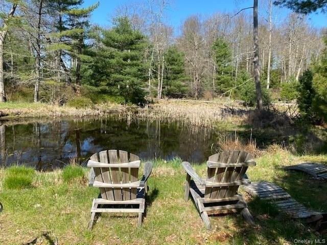 592 Proctor Rd, Glen Spey, NY 12737