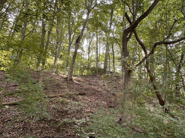 5936 S Bear Wallow Rd, Morgantown, IN 46160