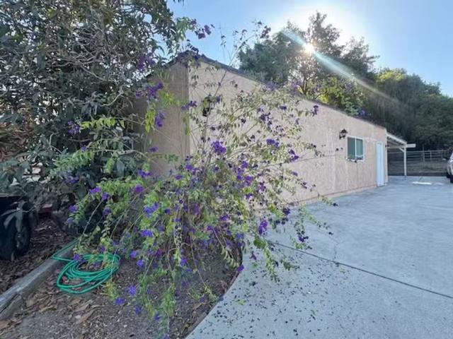 59384761 229 Timber Rd