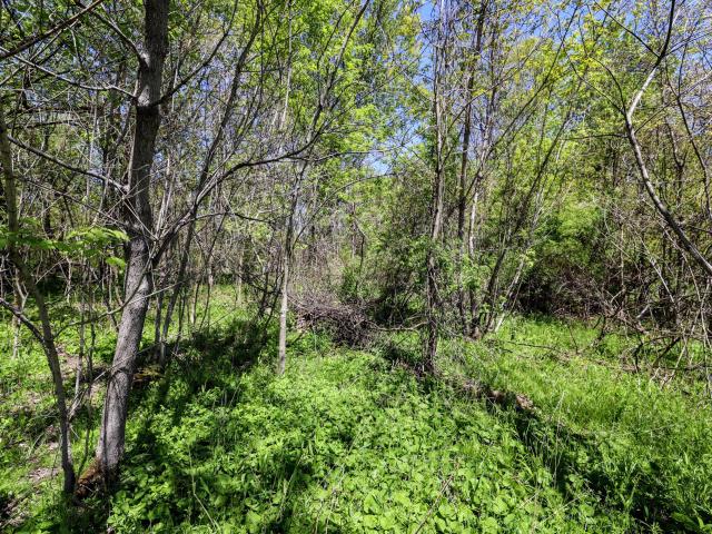 59314 Benny Ct private Grand Junction, Unit PARCEL 7, Grand Junction, MI 49056 | MLS #26003 | Compass