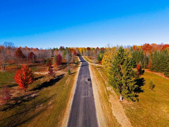 5932 SW Old Oak Trail # Lot 12 Wildwood