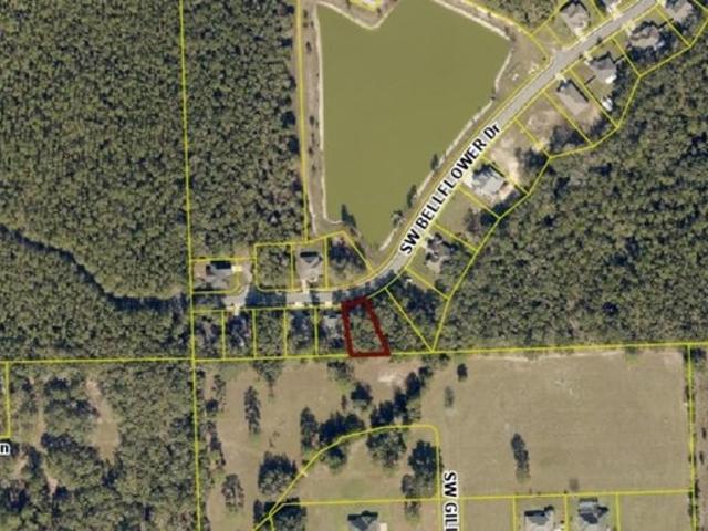 593 SW Bellflower Dr, Lake City, FL 32024