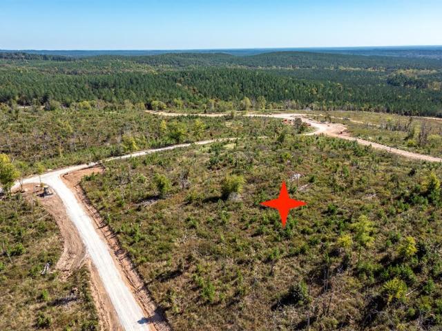593 Woodland Ridge Trail