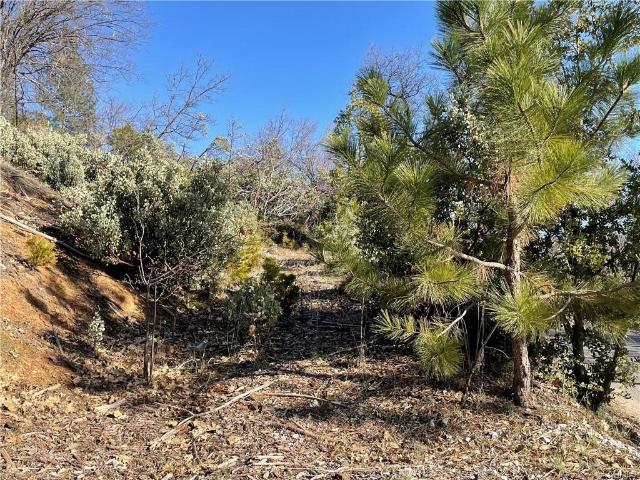 59479 Cascadel Dr, North Fork, CA 93643 | MLS #FR24116