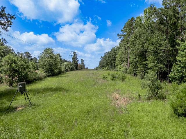 594 County Road 3540