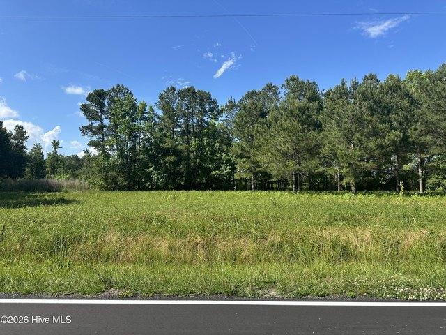 594 Big Cypress Rd, Nakina, NC 28455