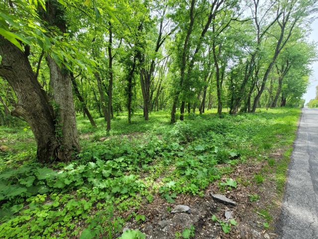 594 W Division Road