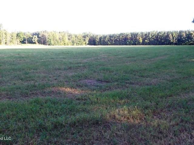 595 County Road 247, Bruce, MS 38915