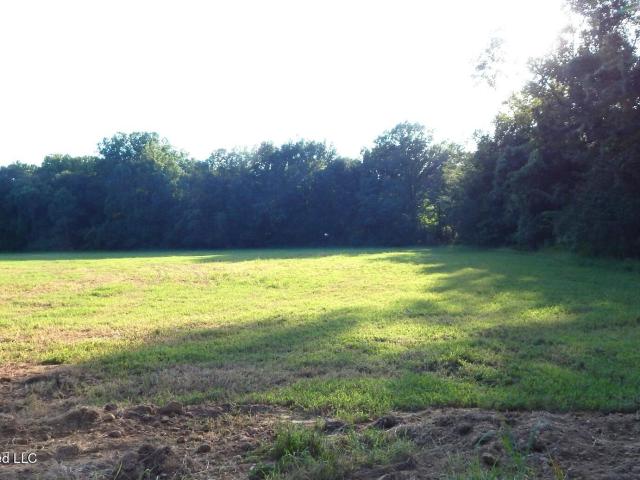 595 County Road 247