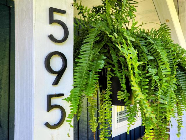 595 Frames Branch Road