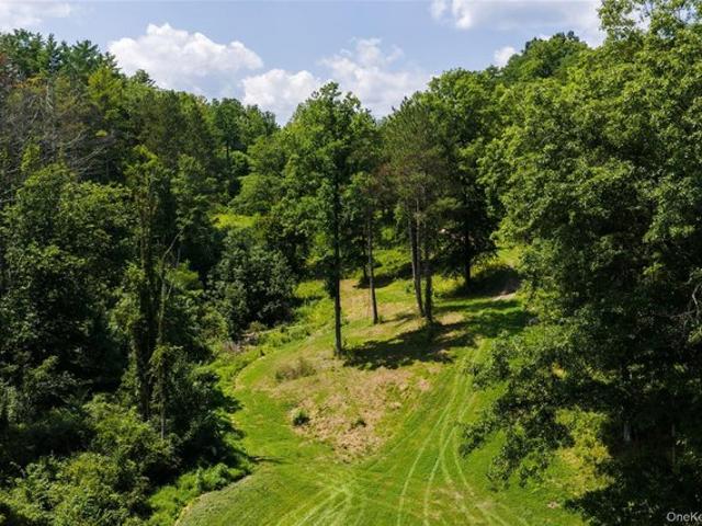 595 Mill Rd, Rhinebeck, NY 12572