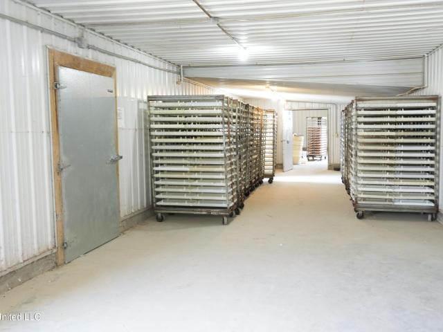 595 Mt Zion Road