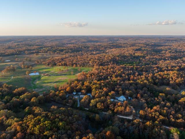 595 Needmore