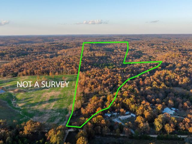 595 Needmore Road