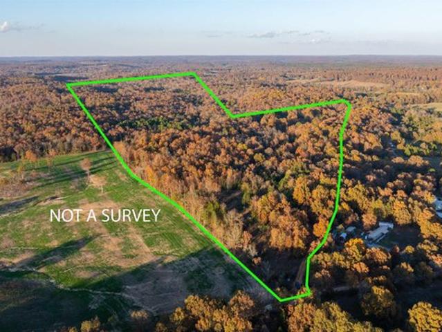 595 Needmore Rd, Evening Shade, AR 72577