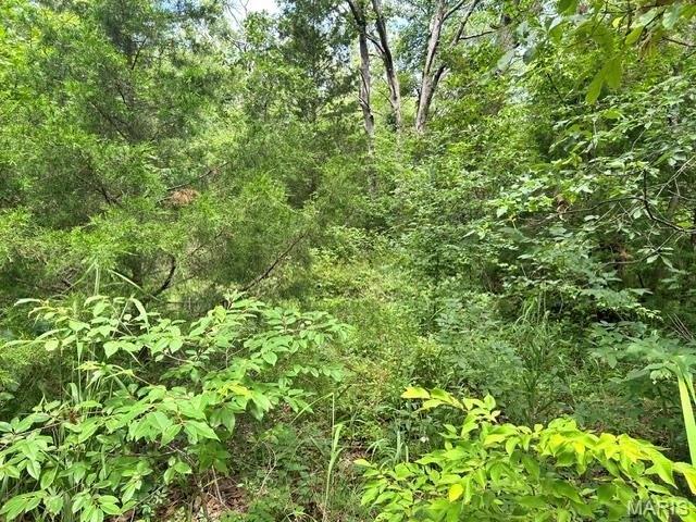 595 Utica Dr, Bismarck, MO 63624