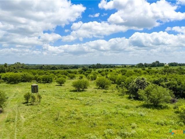 596 Hallemann Rd, Goliad, TX 77963