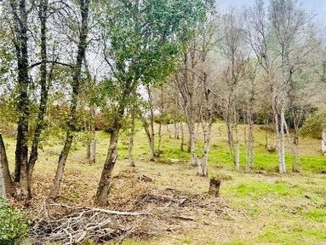 5976 Armijo Ave, Clearlake, CA 95422