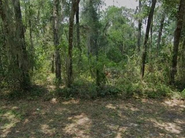 5979 E Seneca St, Inverness, FL 34452