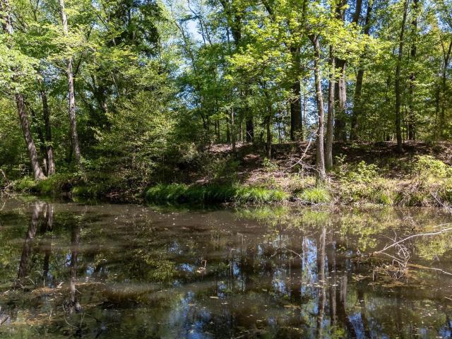 5973 Farm to Market 344 E, Tyler, TX 75703 | MLS #26005