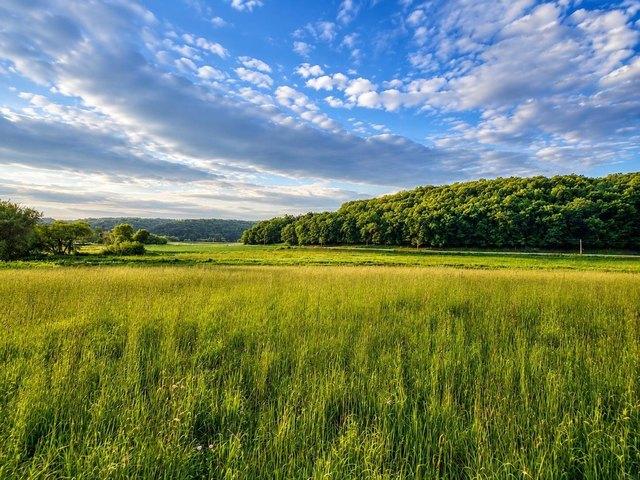 597 Maple Rd, Luana, IA 52156