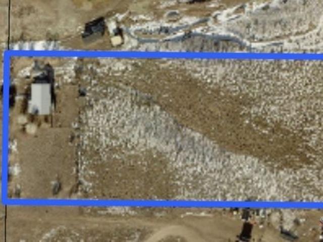 597 Shadybrook Dr, Spring Creek, NV 89815