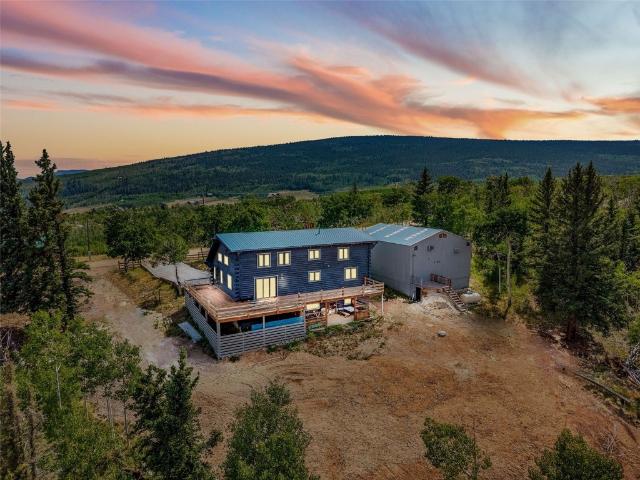 597 Sheep Ridge Rd, Fairplay, CO 80440 | MLS #S1061