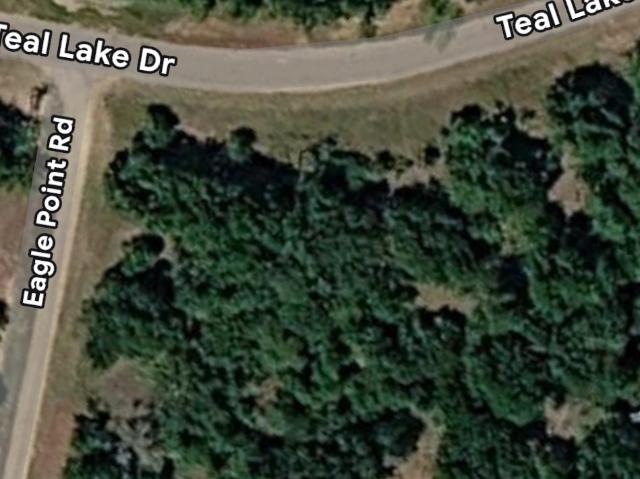 597 Teal Lake Drive