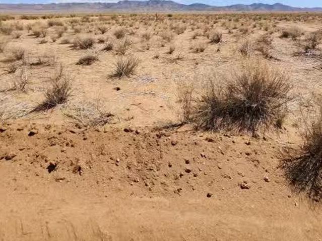 5982 N Webb Dr, Kingman, AZ 86401 MLS 1035016