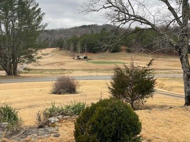 598 Buffalo Creek Road