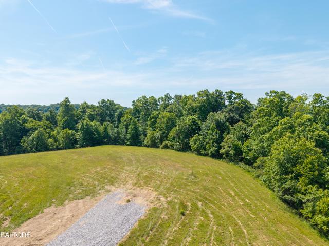 598 J T Foster Rd