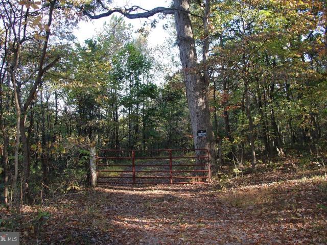598 Tuckahoe Lane