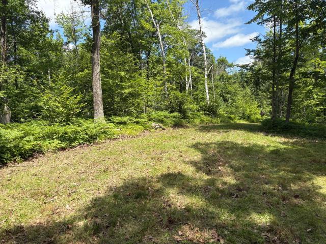 599XX Tamarack River Rd