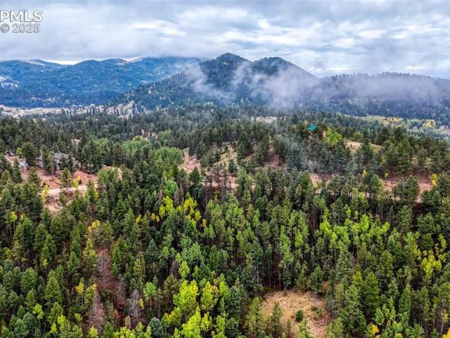 599 Dandy Jim Dr, Cripple Creek, CO 80813 | MLS #6577