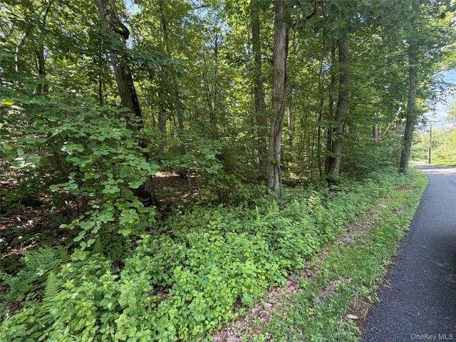 599 E Mountain Rd N, Cold Spring, NY 10516