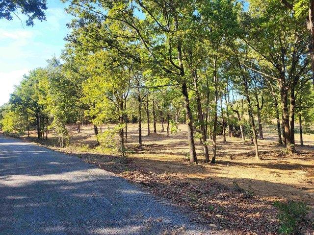 599 S Beryl Rd, Vilonia, AR 72173