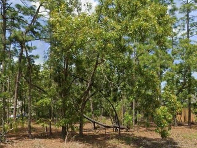 599 W Fortune Ln, Citrus Springs, FL 34434