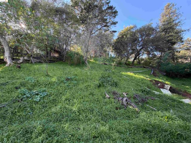 59 60 Clayton St, San Rafael, CA 94901 | MLS #41124