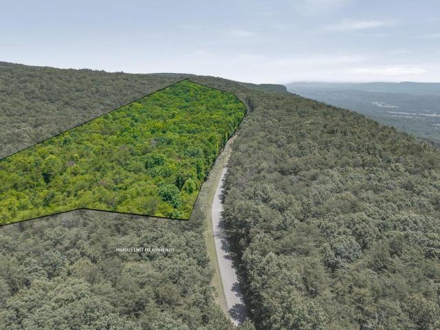 59.73ac Windridge Drive