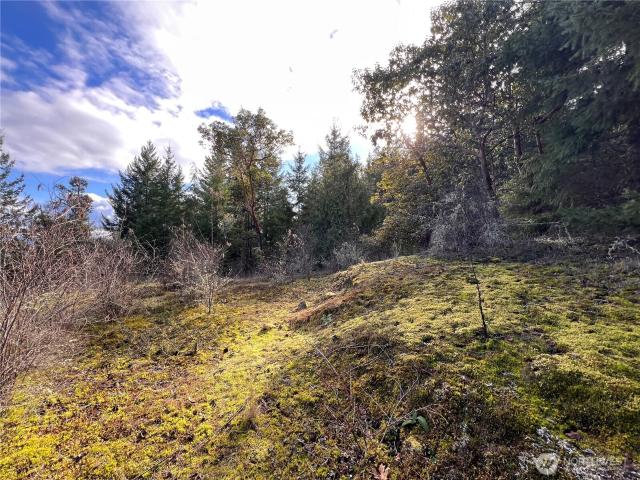 59 X Moose Mountain Road