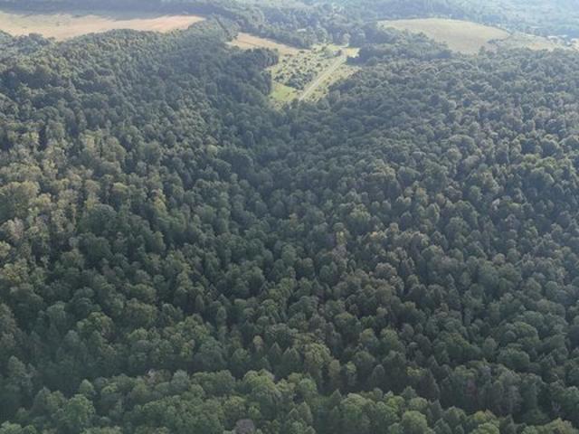 59.69 Acs Kunselman Rd, Brookville, PA 15825