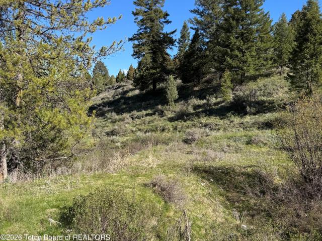 59 b4 Cutthroat Run, Irwin, ID 83428 | MLS #26 798