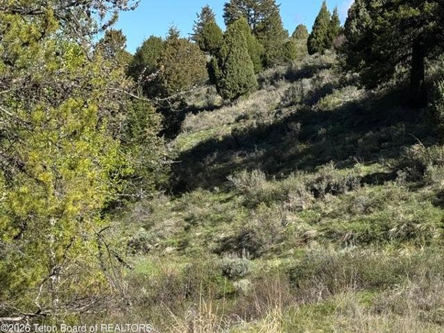 59 B4 Cutthroat Run, Irwin, ID 83428