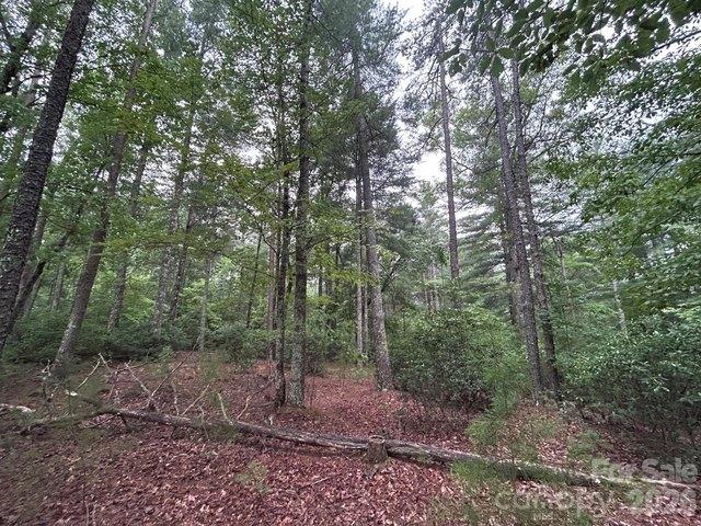 59 Captains Dr Unit 224, Nebo, NC 28761