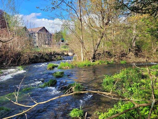 59 Egg St, Pawlet, VT 05775